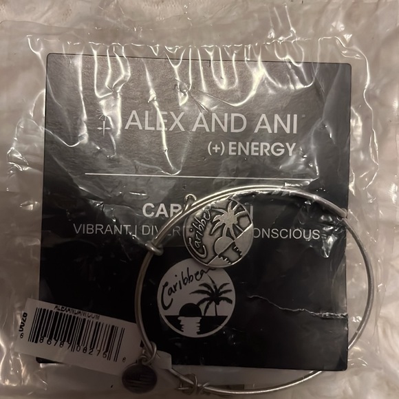 Alex and Ani | Jewelry | Nwt In The Box Alex And Ani Caribbean Silver ...